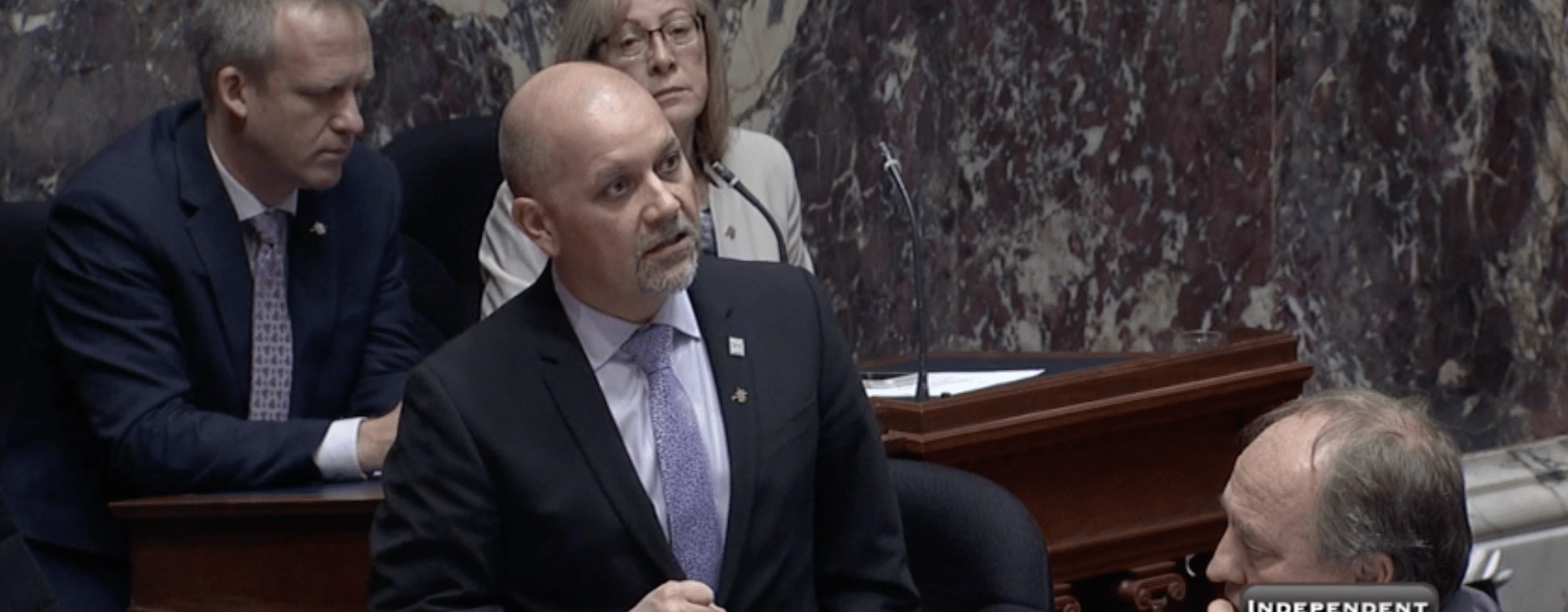 VIDEO: Statement on Peninsula Streams and Ecosystem Protection - Adam ...