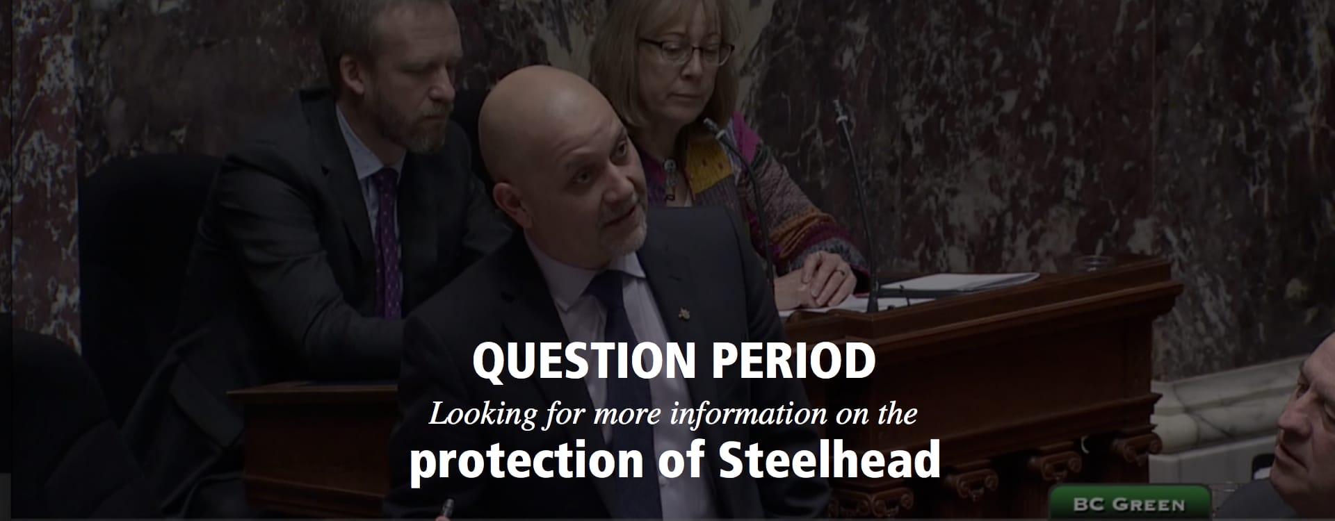 VIDEO: Who is protecting the Steelhead? - Adam Olsen, MLA