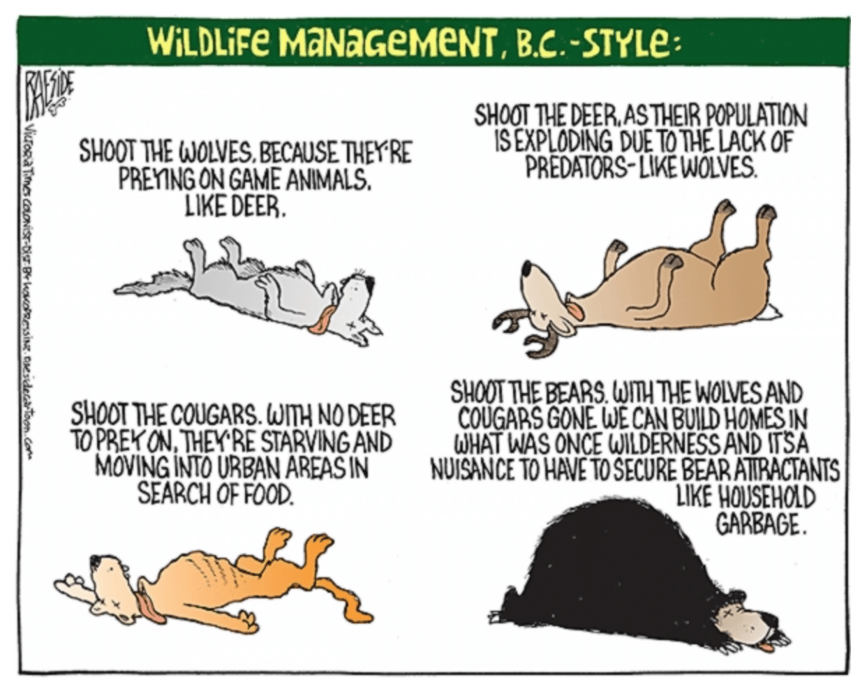 Animal conservation should protect animals not kill them - Adam Olsen