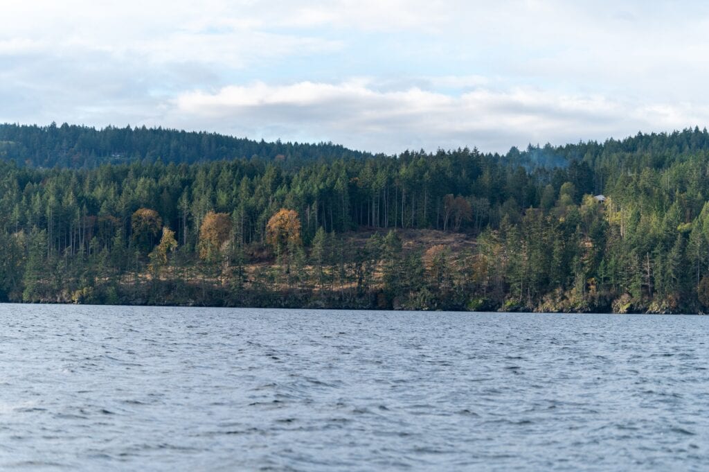 A governance solution for the Salish Sea - Adam Olsen