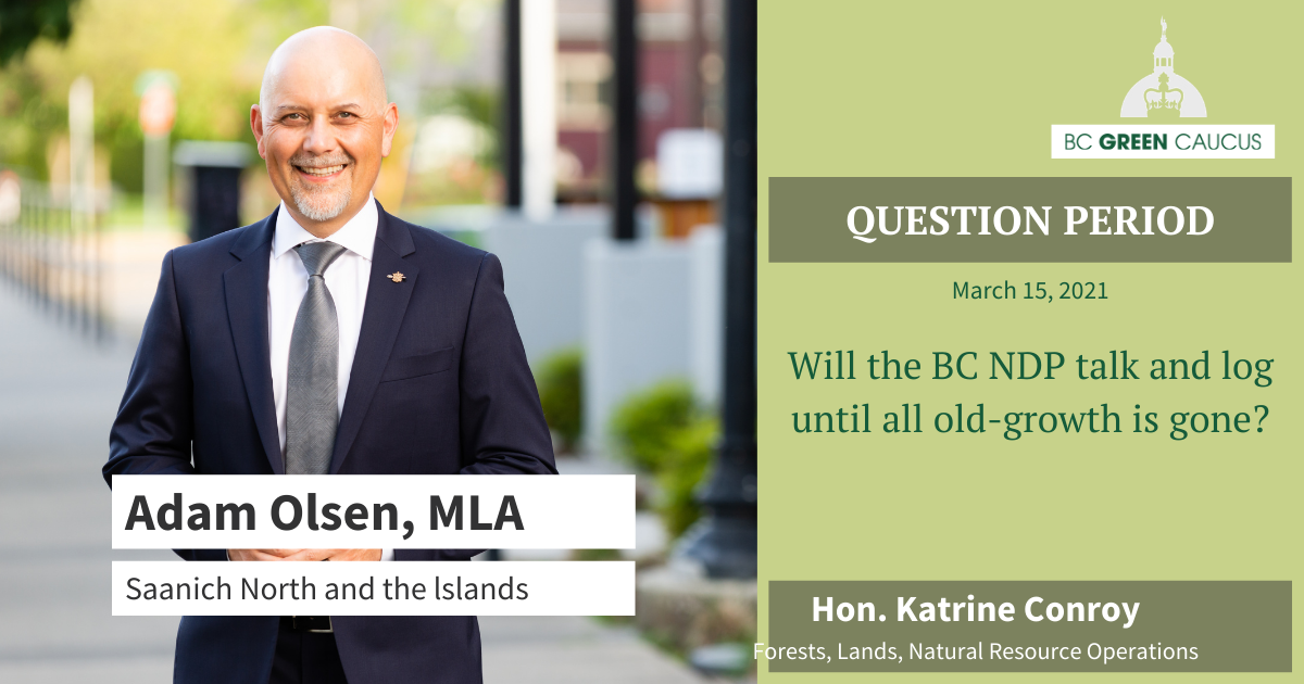 Will the BC NDP talk and log until all old-growth is gone? - Adam Olsen