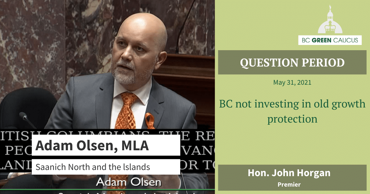 BC not investing in old growth protection - Adam Olsen