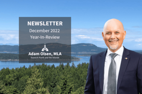 Looking back at 2022: Housing, healthcare, governance, transportation ...
